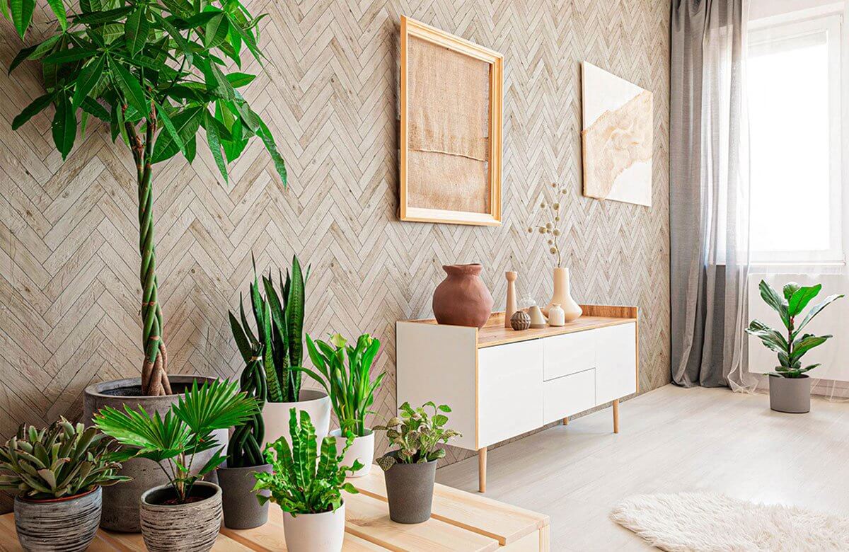 Personal Sanctuary Design | Home Yoga Space | Walls By Me