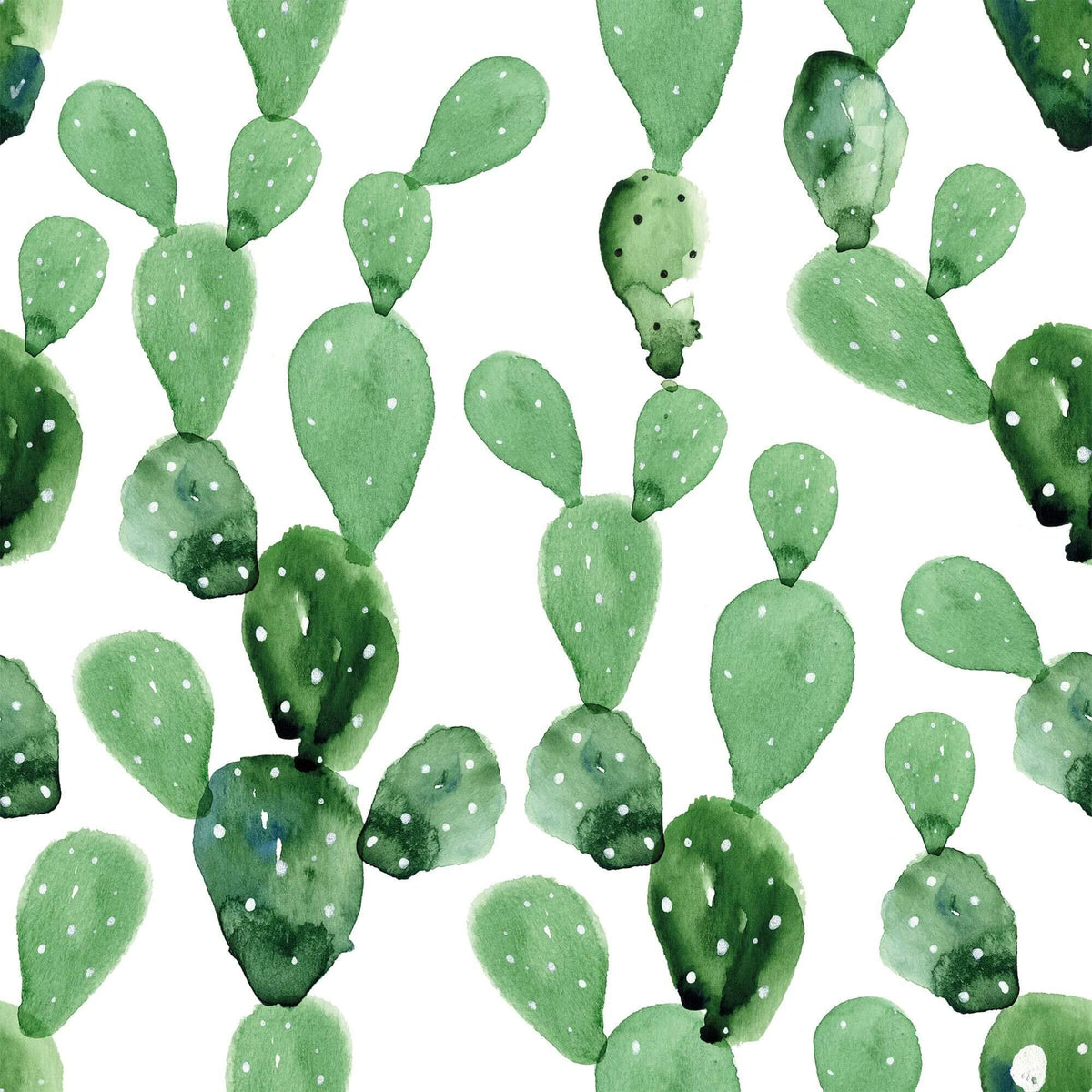 Green Textured Wallpaper: Cactus Pattern | Walls By Me